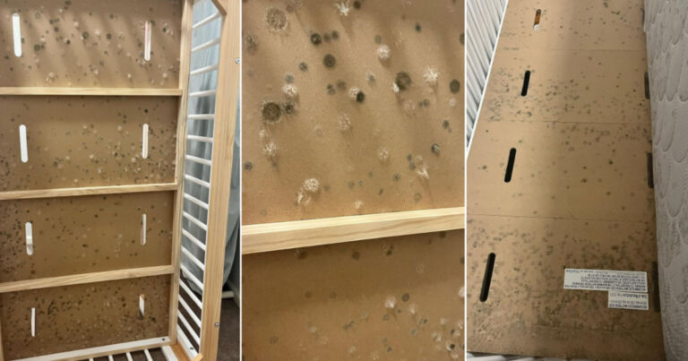 'Potentially dangerous mould': warning about popular cot | Tell Me Baby