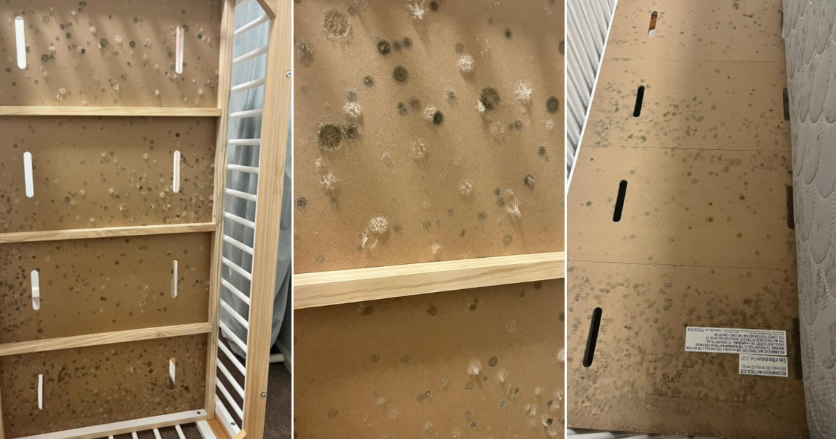 'Potentially dangerous mould': warning about popular cot | Tell Me Baby